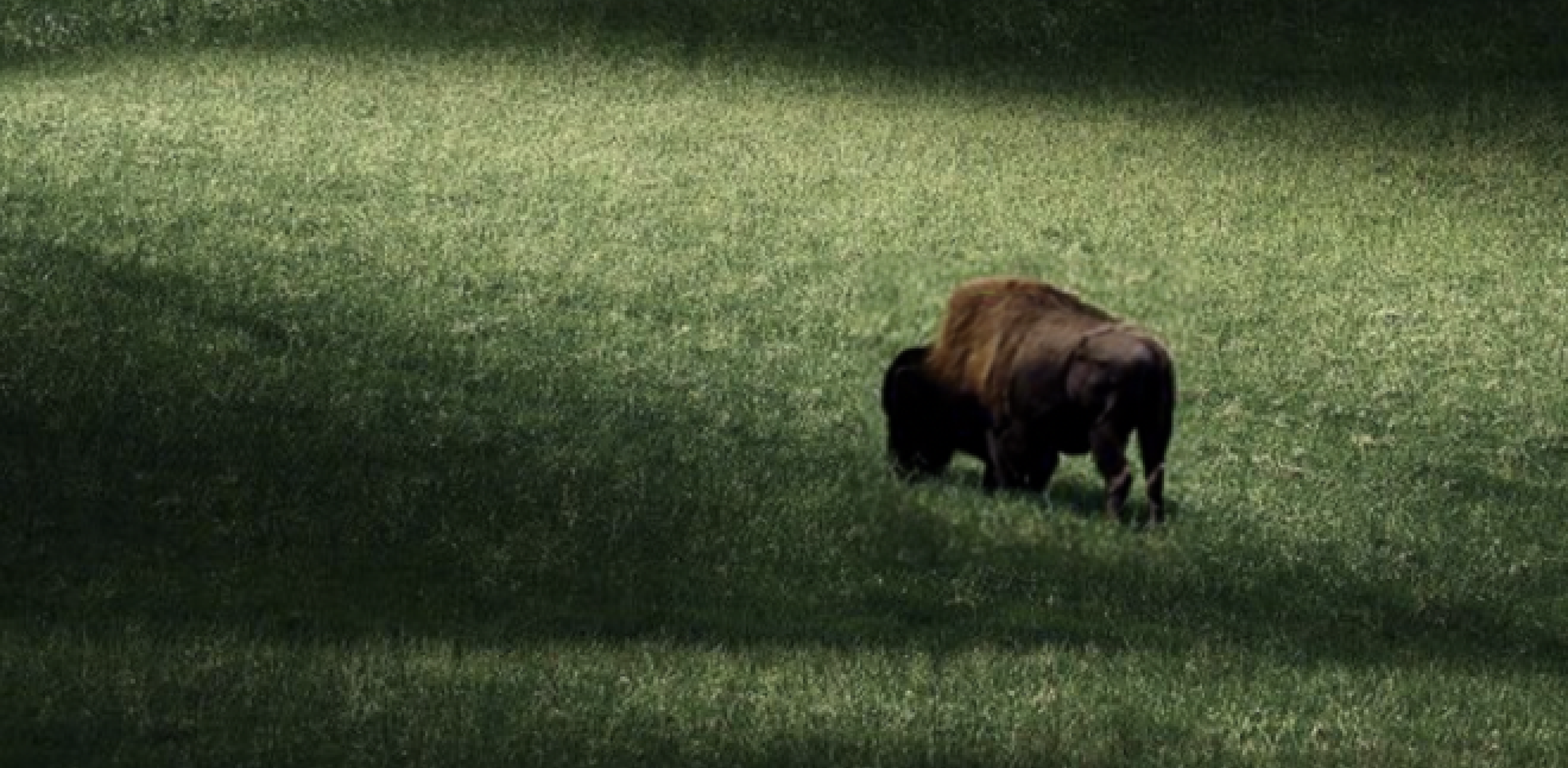 Human Nature | Farming Sustainably