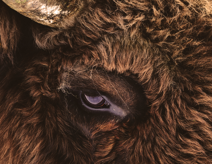 Human Nature | Nature's Best-Kept Secret